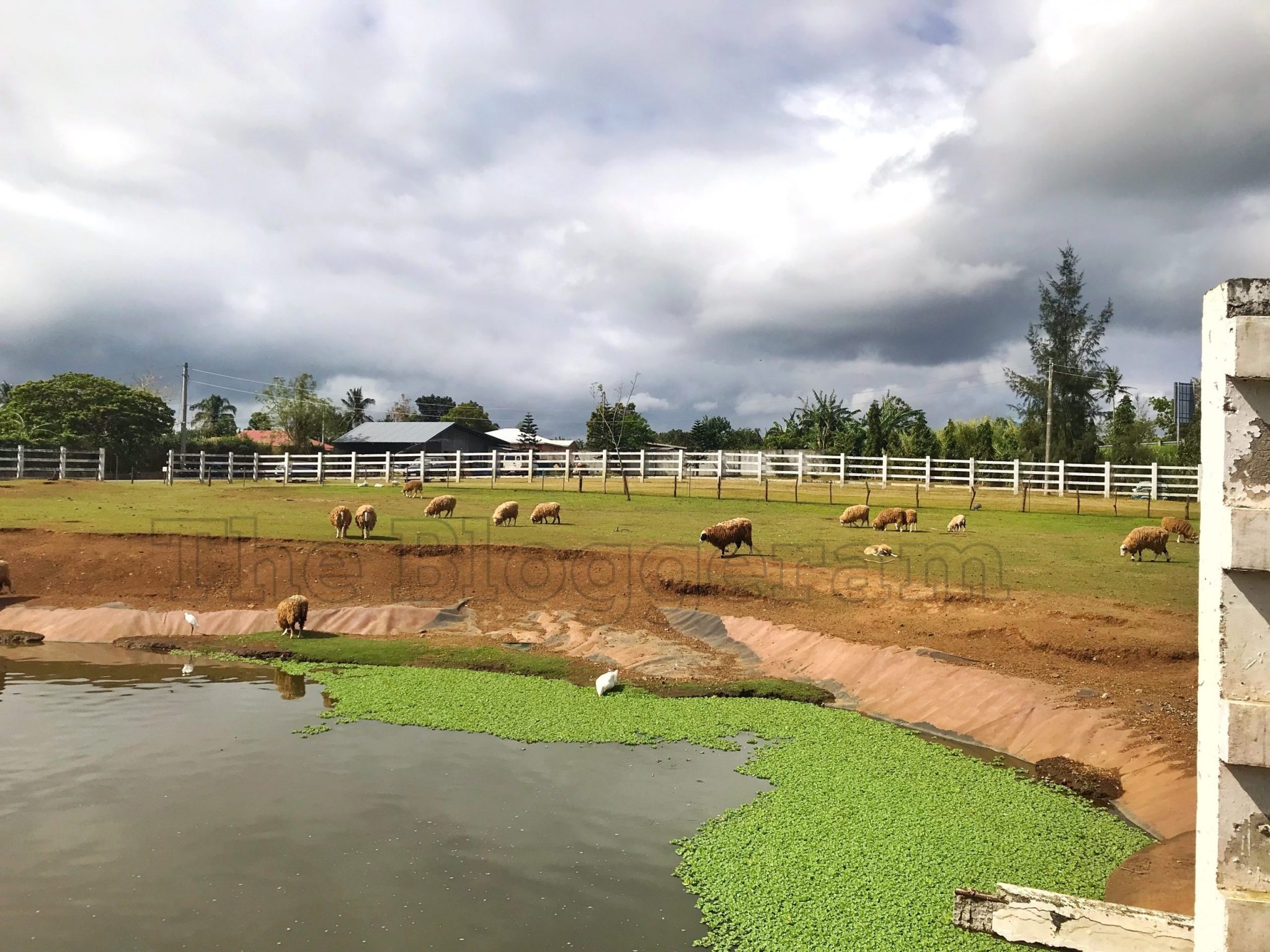 Review of the Old Grove Farmstead - [Rates and details] - The Bloggeram